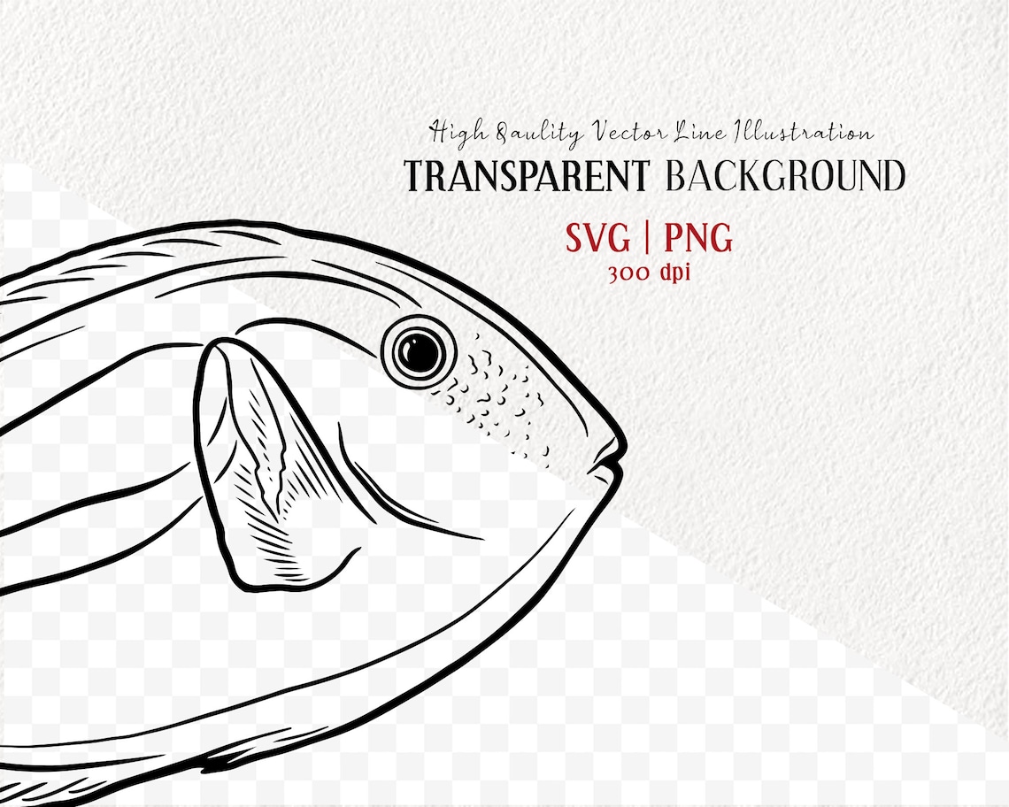 Regal Blue Tang Vector Clipart. Coral Reef Fish SVG Drawing. - Etsy