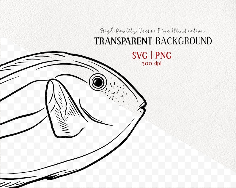 Regal Blue Tang Vector Clipart. Coral Reef Fish SVG Drawing. - Etsy