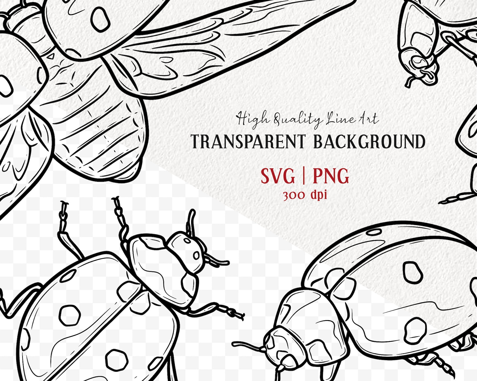 8 Ladybug Vector Clipart Bundle. Lady Bug Outline Stamps. Cute Love ...