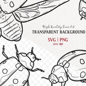 8 Ladybug Vector Clipart Bundle. Lady Bug Outline Stamps. Cute Love ...