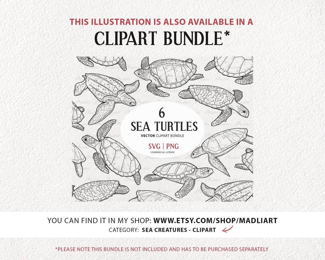 Leatherback Sea Turtle Vector Clip Art. Sea Animal Artwork ...