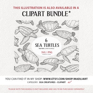 Leatherback Sea Turtle Vector Clip Art. Sea Animal Artwork ...