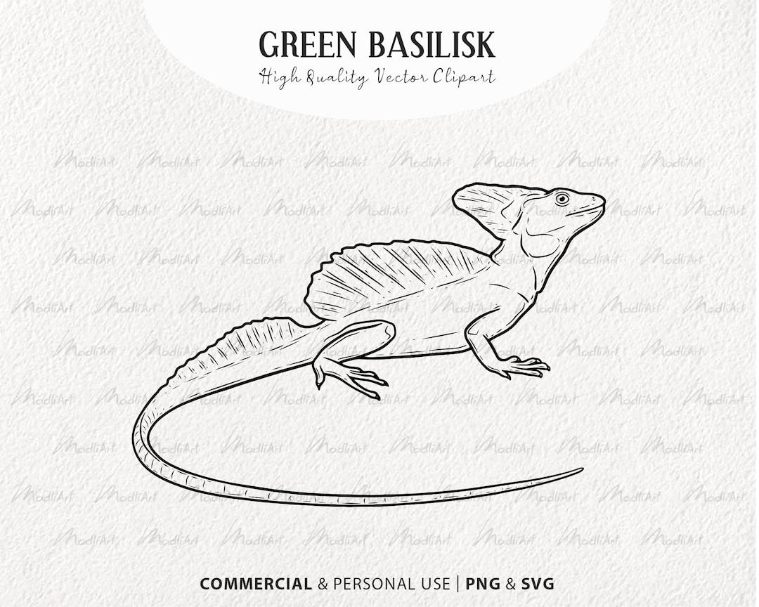 Green Basilisk SVG Clipart. Dragon Lizard Vector Drawing. Lizard Line ...