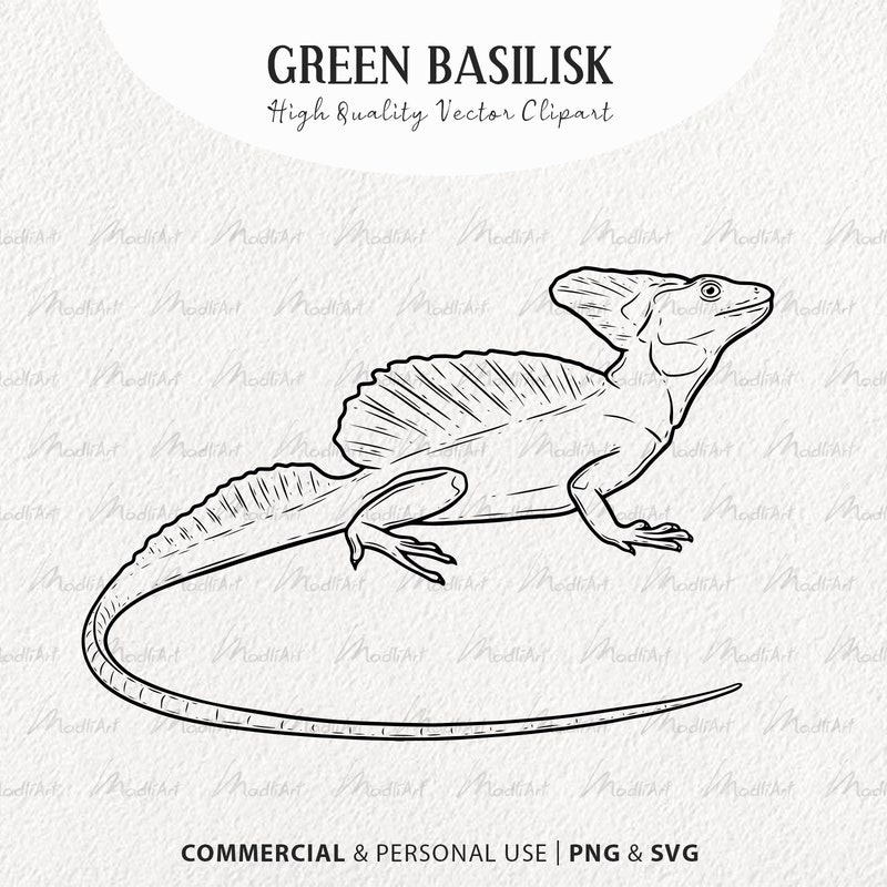Basilisk - Etsy