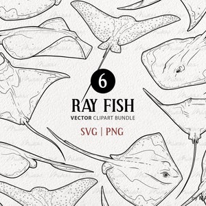 Ray Fish Clipart Bundle. Sea Creature Vector Line Art. Ocean Animals ...