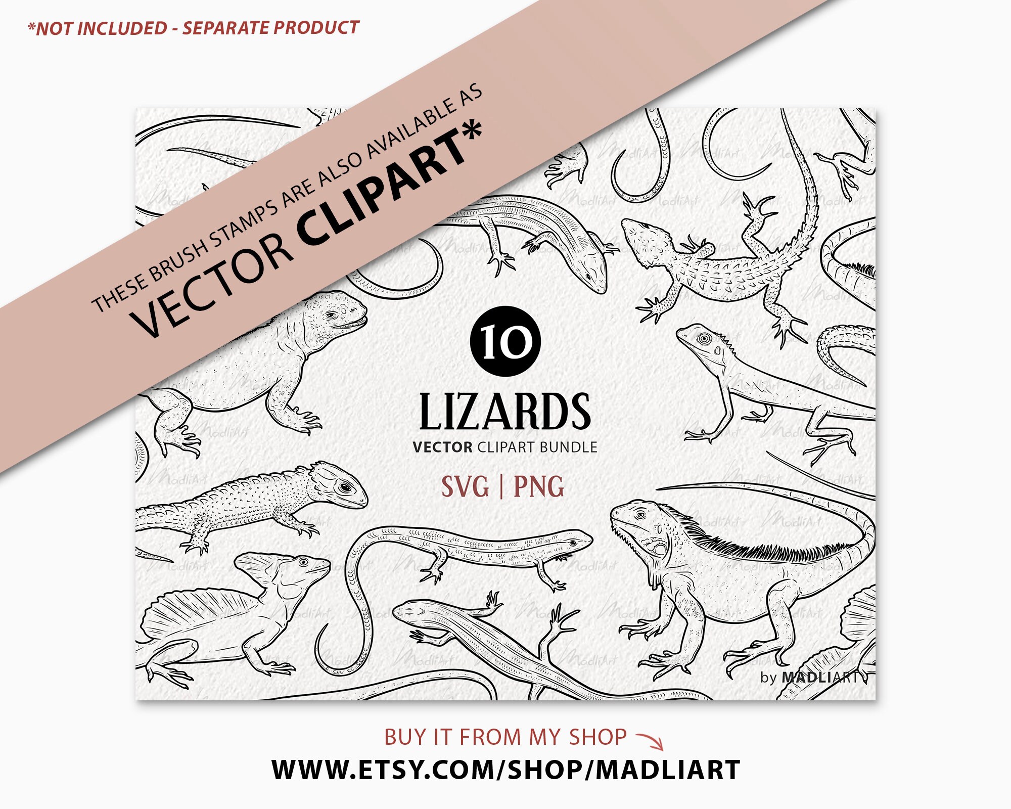 10 Procreate Lizard Stamps. Reptile Tattoo Designs. Basilisk, Skink ...