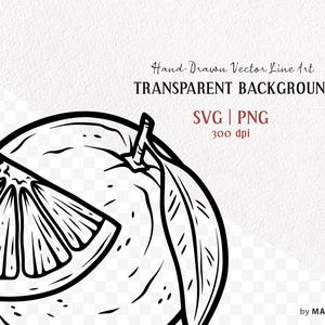 Orange SVG Clipart. Orange Vector Line Drawing. Grapefruit, Mandarin ...