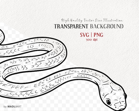Dibujo De Serpiente Víbora