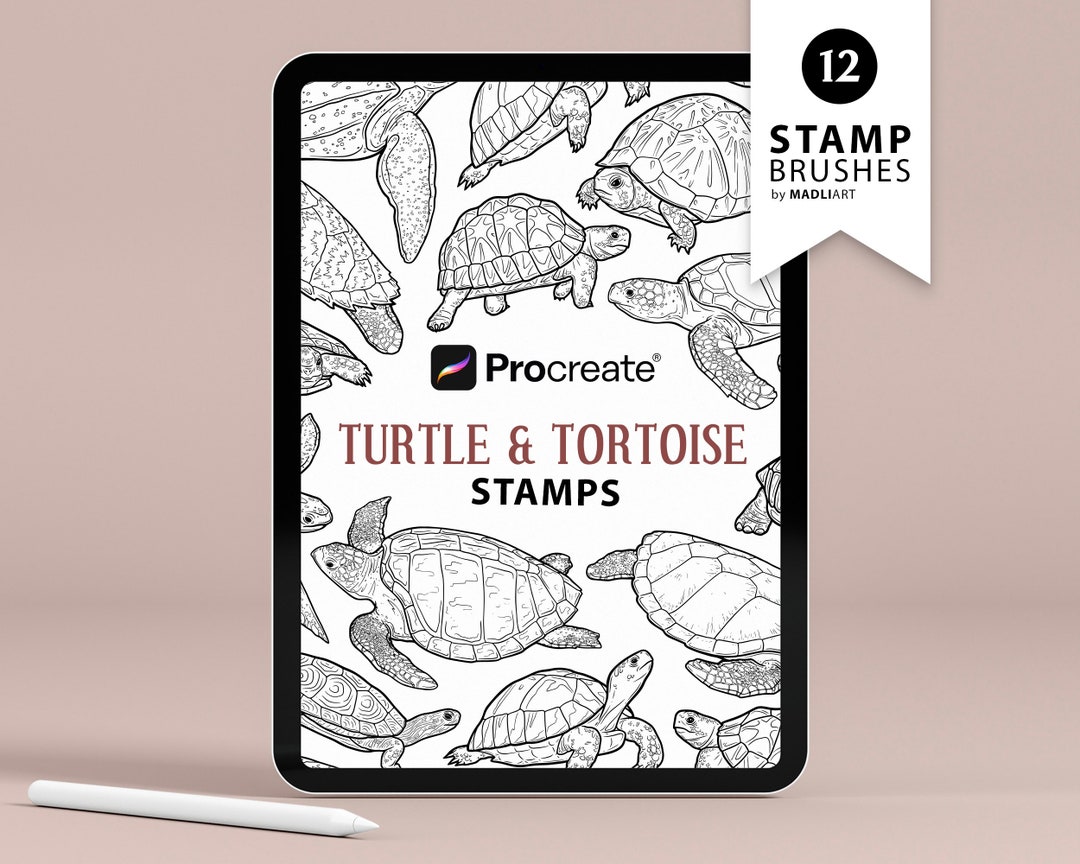 12 Turtle Procreate Stamps. Sea Turtle Tattoo Design. Land Tortoise Line Art Brushes. Cute ...