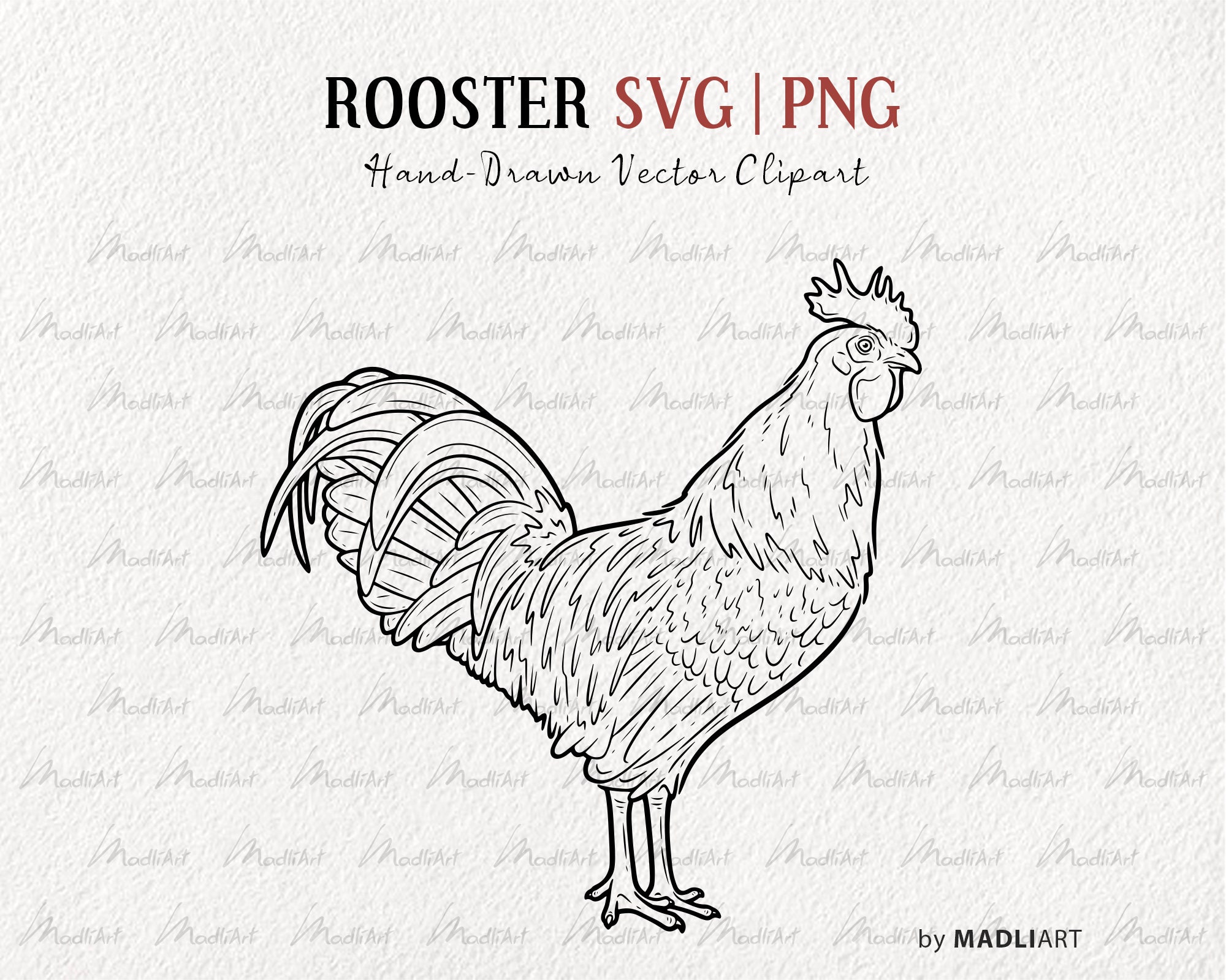 Rooster Drawing Outline