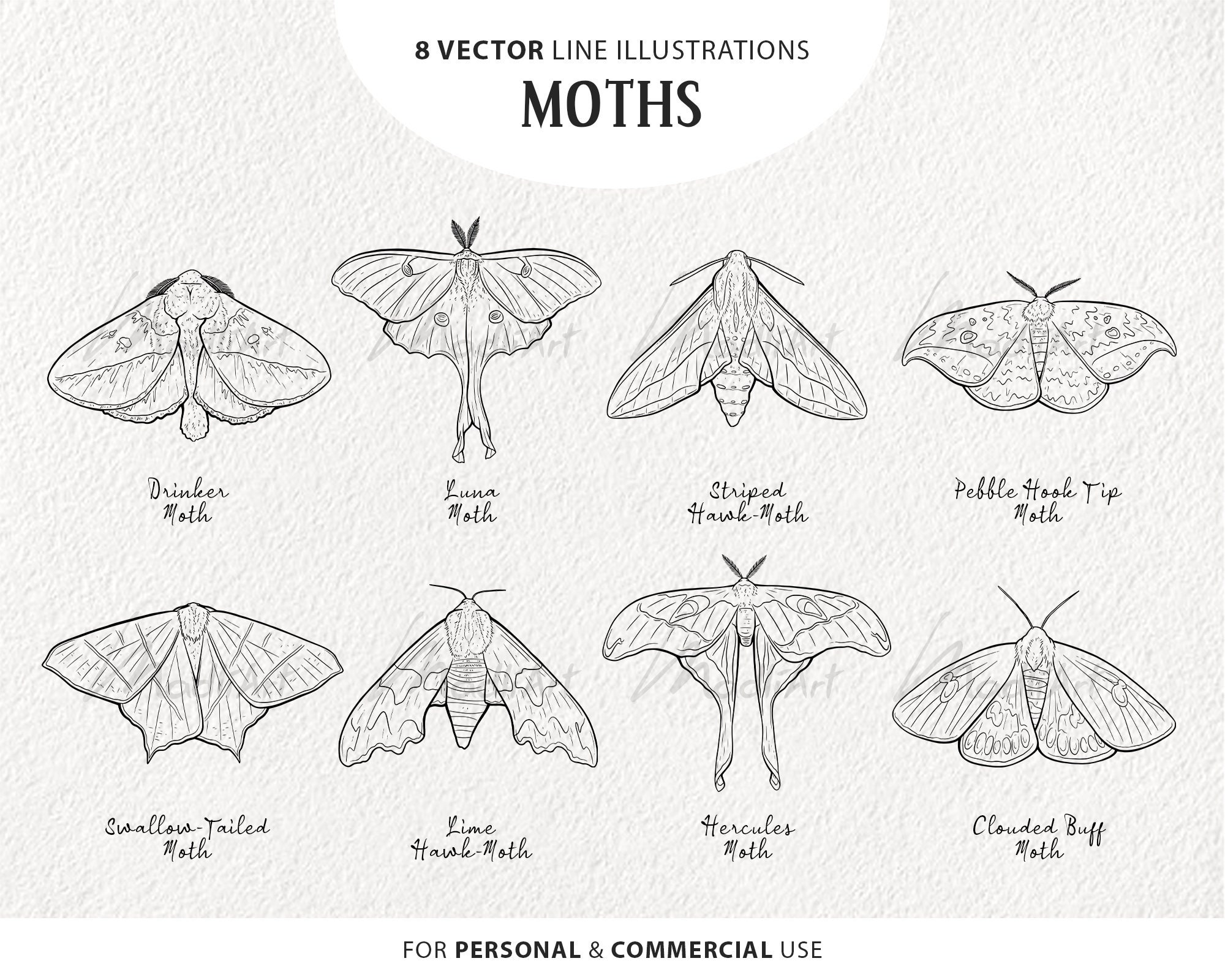 Moth Vector Clip Art Bundle. 8 Celestial Butterfly Stamps. - Etsy UK