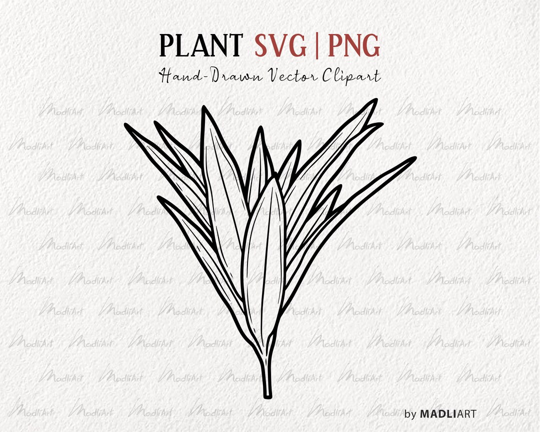 Leafy Plant SVG Clipart. Vector House Plant Line Drawing. Potted Plant ...