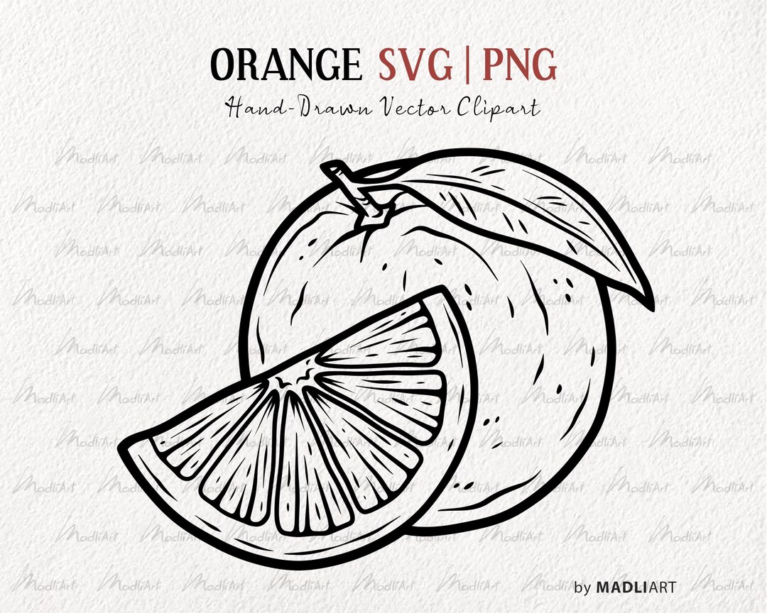 Orange SVG Clipart. Orange Vector Line Drawing. Grapefruit, Mandarin ...