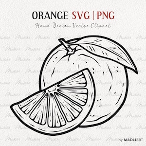 Orange SVG Clipart. Orange Vector Line Drawing. Grapefruit, Mandarin ...