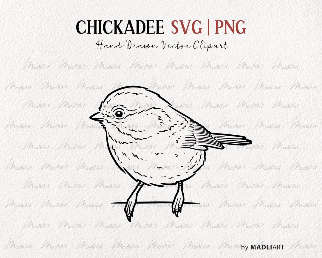 Chickadee SVG Clipart. Sparrow Vector Art. Small Bird Outline Drawing ...