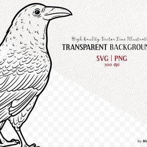Raven SVG Clipart. Crow Vector Line Drawing. Halloween Crow Clipart ...
