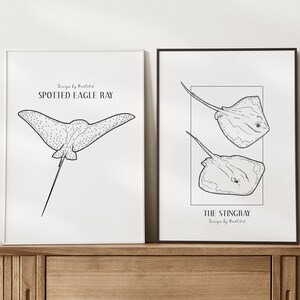 Ray Fish Clipart Bundle. Sea Creature Vector Line Art. Ocean Animals ...