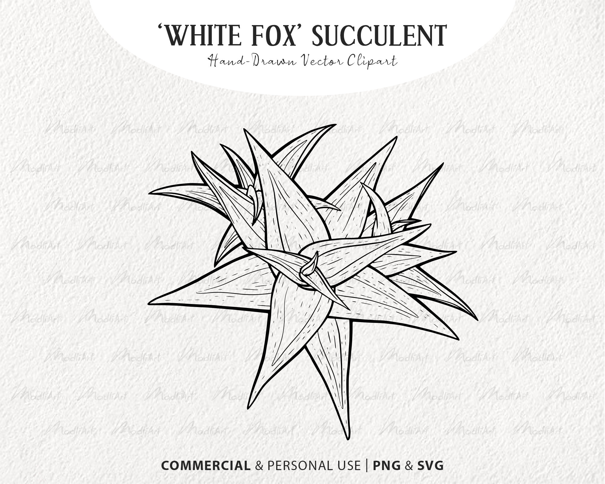 Aloe White Fox Succulent SVG Clipart. Desert Plant Vector - Etsy