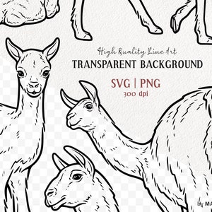 Llama SVG Clipart Bundle. Alpaca SVG Line Drawing. Llama Vector Drawing ...