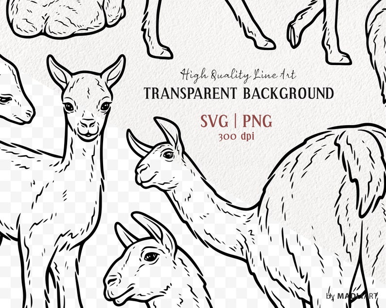 Llama SVG Clipart Bundle. Alpaca SVG Line Drawing. Llama Vector Drawing ...
