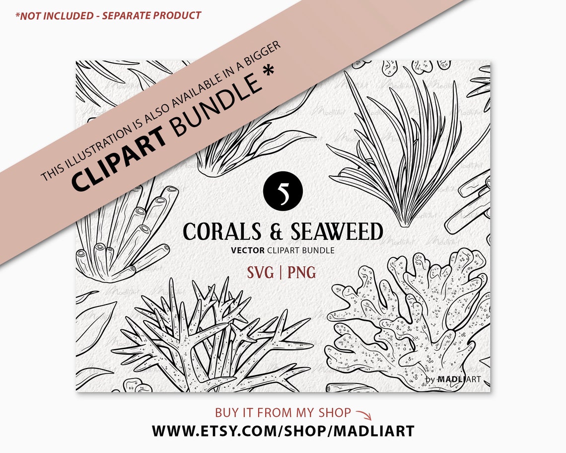 Coral SVG Clipart. Coral Vector Line Art. Coral Reef Illustration ...
