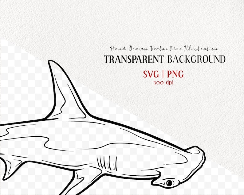 Imágenes prediseñadas SVG de tiburón martillo. Dibujo de líneas ...