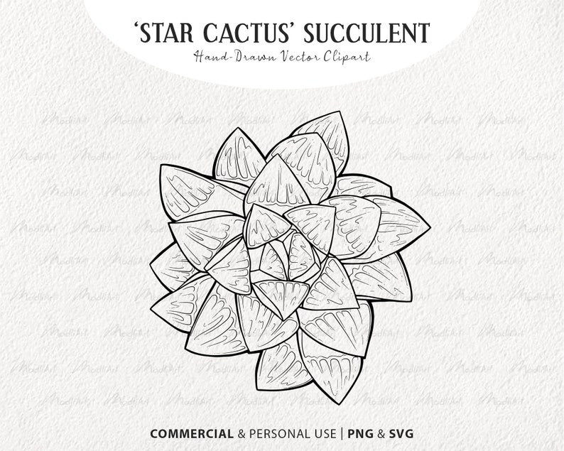 Haworthia Retusa Star Cactus Succulent SVG Clipart. Desert Plant Vector ...