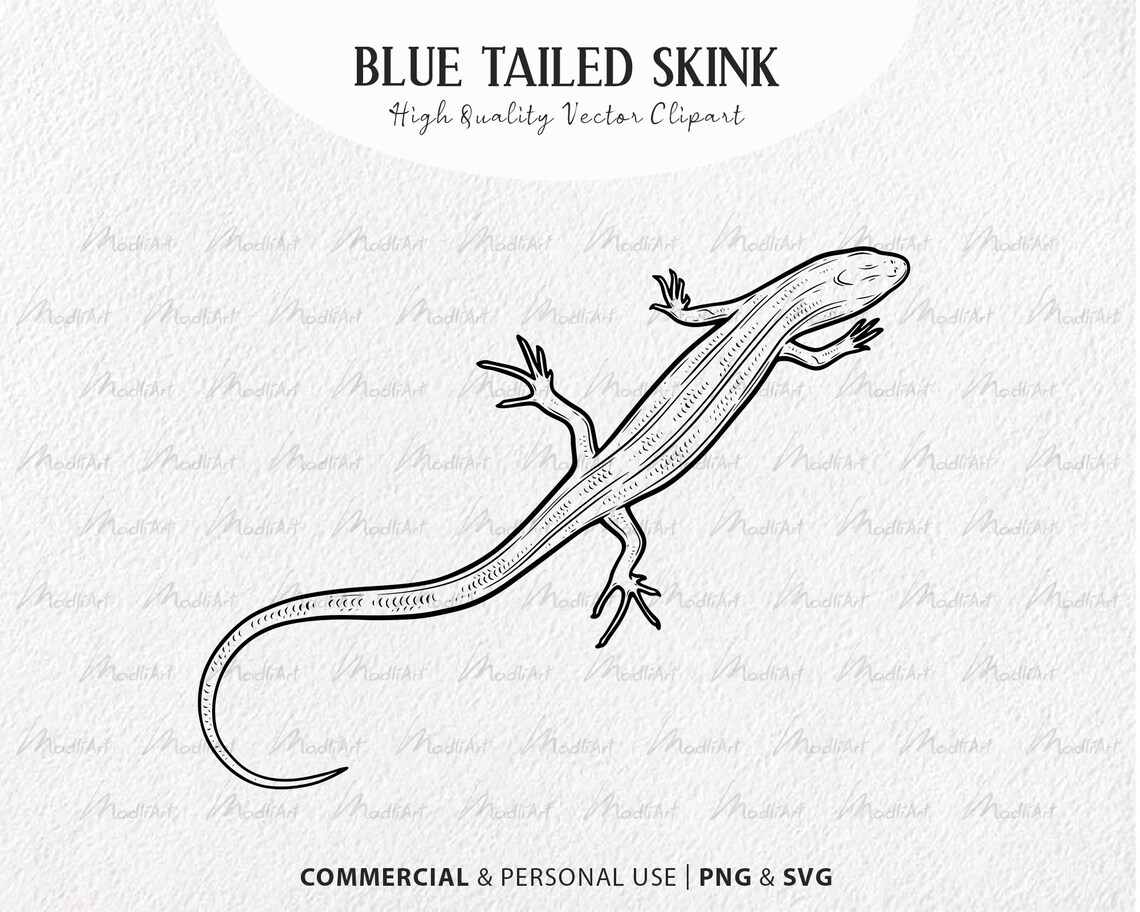 Blue-tailed Skink SVG Clipart. Snake Like Lizard Vector Drawing. Blue ...