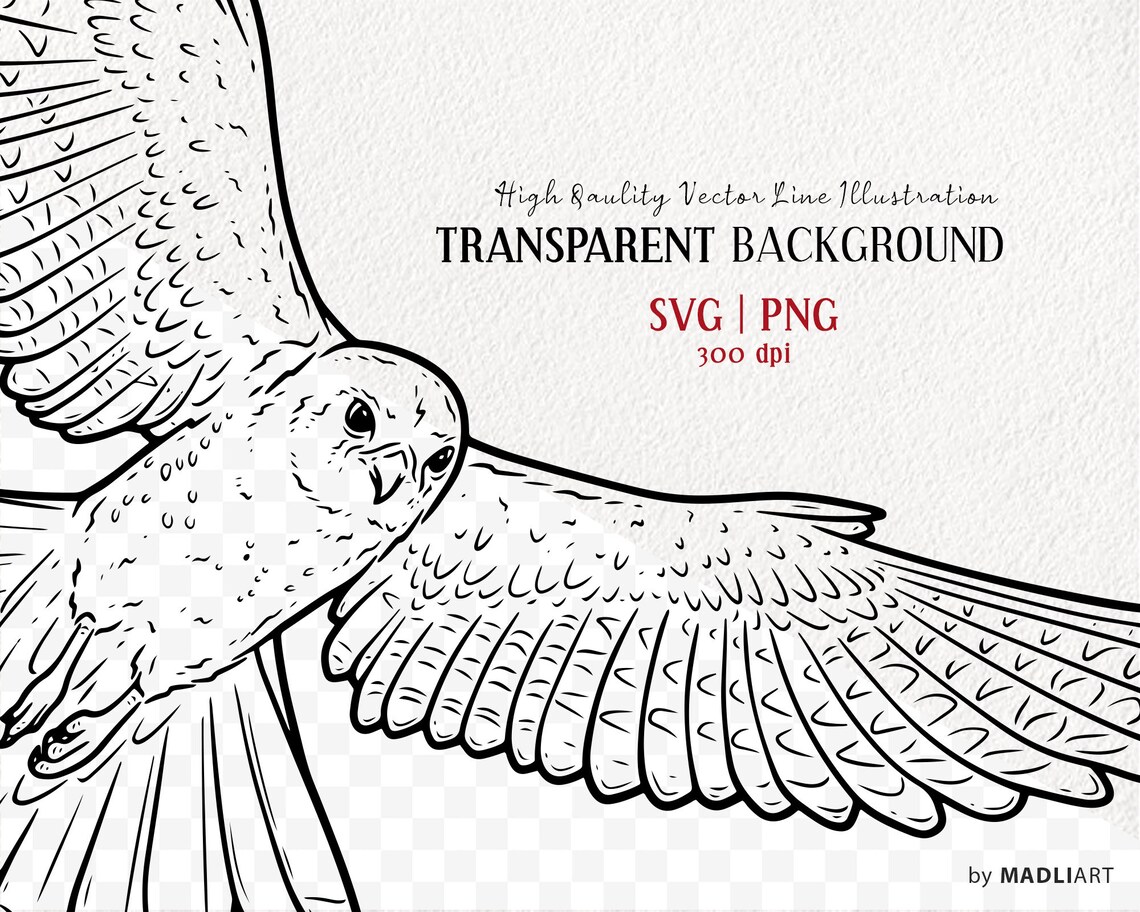 Hawk SVG Clipart Bundle. Eagle Vector Line Drawings. Bird of Prey ...