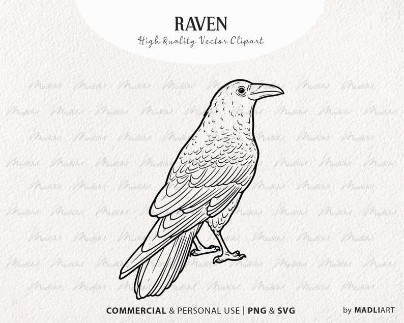 Raven SVG Clipart. Crow Vector Line Drawing. Halloween Crow - Etsy