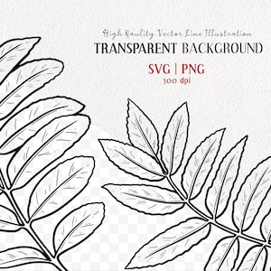 Rowan SVG Clipart Bundle. 4 Rowan Leaves Vector Elements. Fall Leaf ...