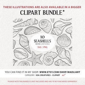 Seashell SVG Clipart. Ocean Themed Vector Line Drawing. - Etsy