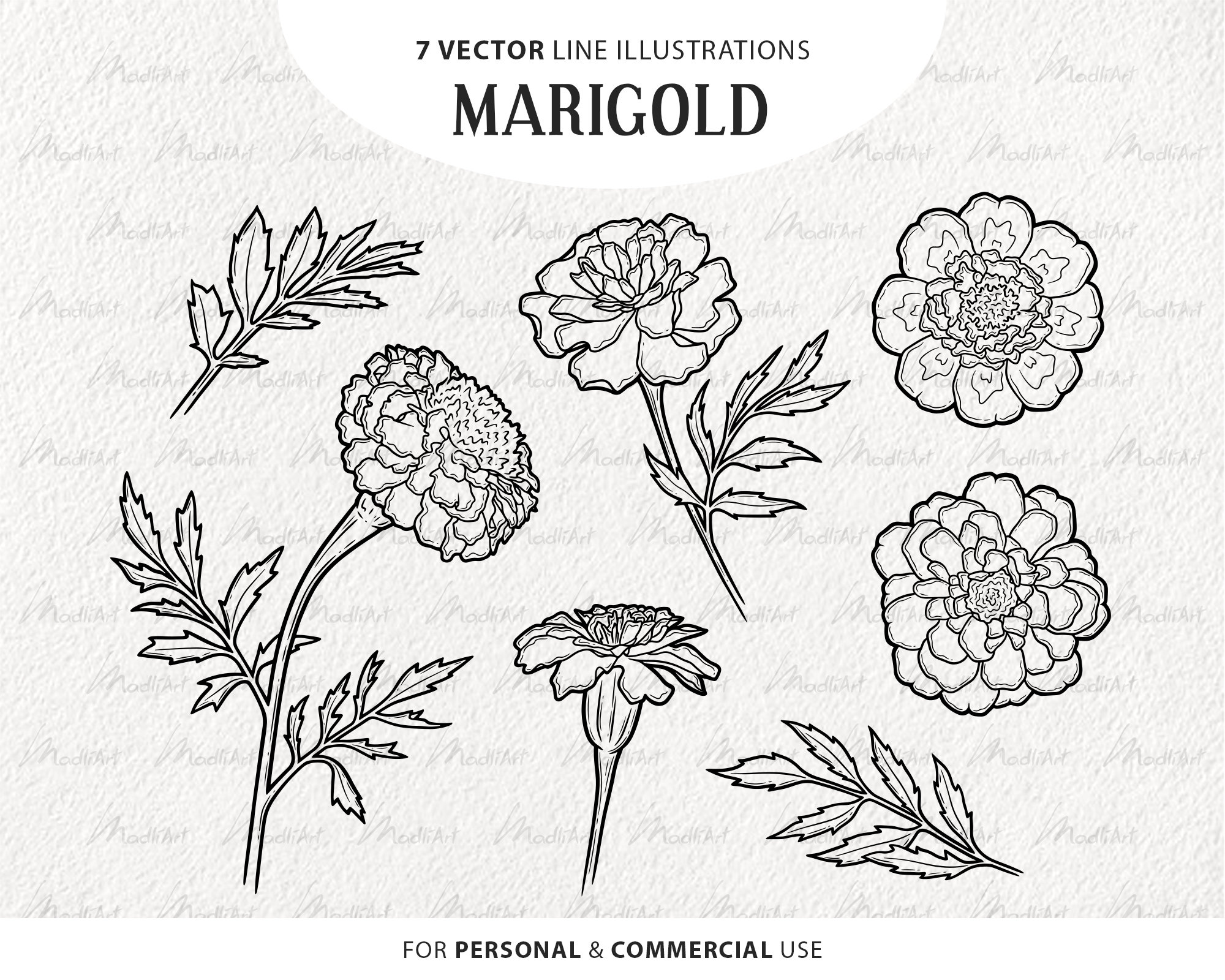 7 Marigold Flower SVG Clipart Bundle. Spring Blossoms. Flower - Etsy ...
