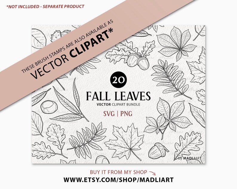 20 Procreate Fall Leaf Stamps. Autumn Tattoo Design. Oak, Maple, Birch ...