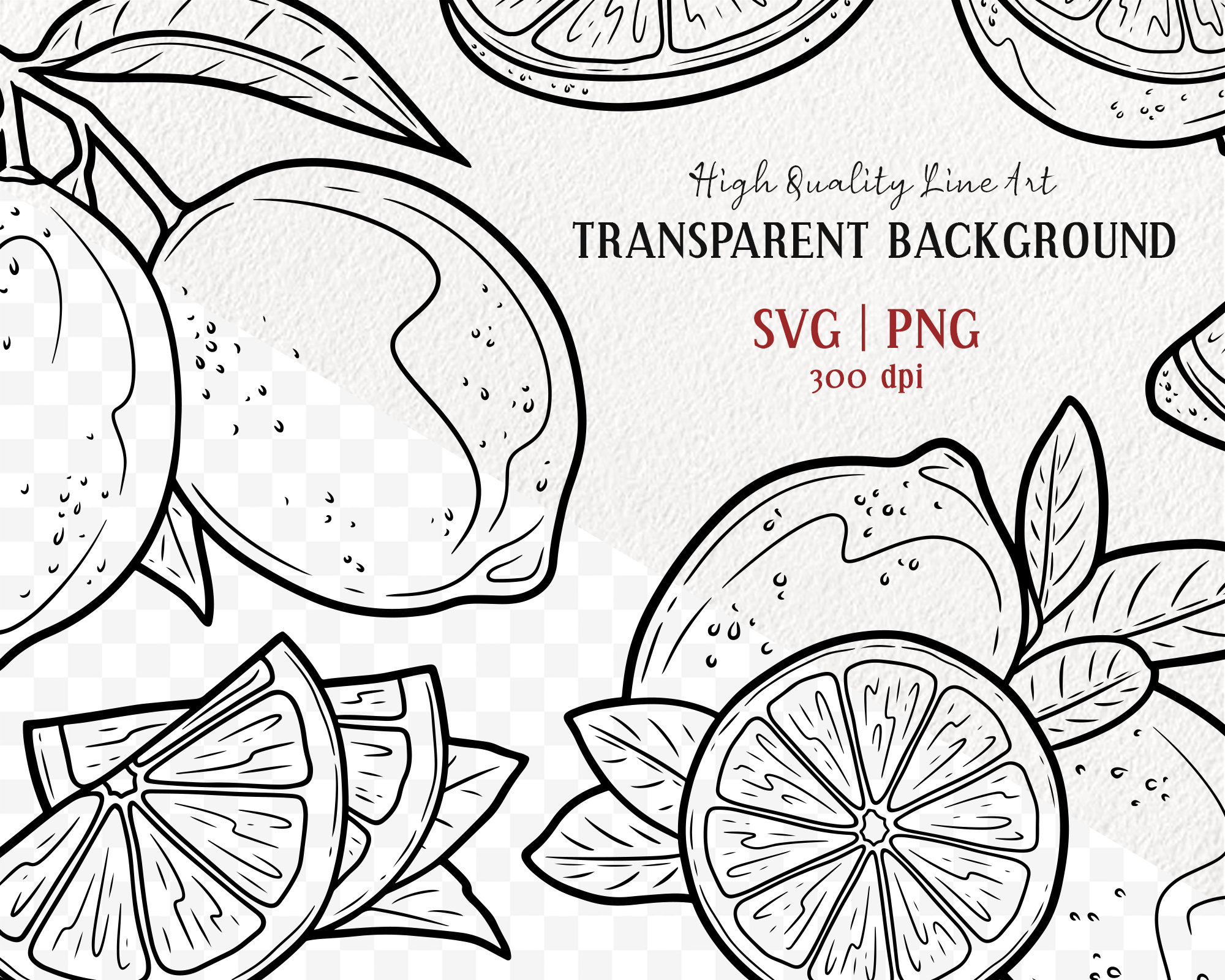 Lemon SVG Clipart Bundle. 12 Vector Lemons. Lemon Tree Fruits. - Etsy