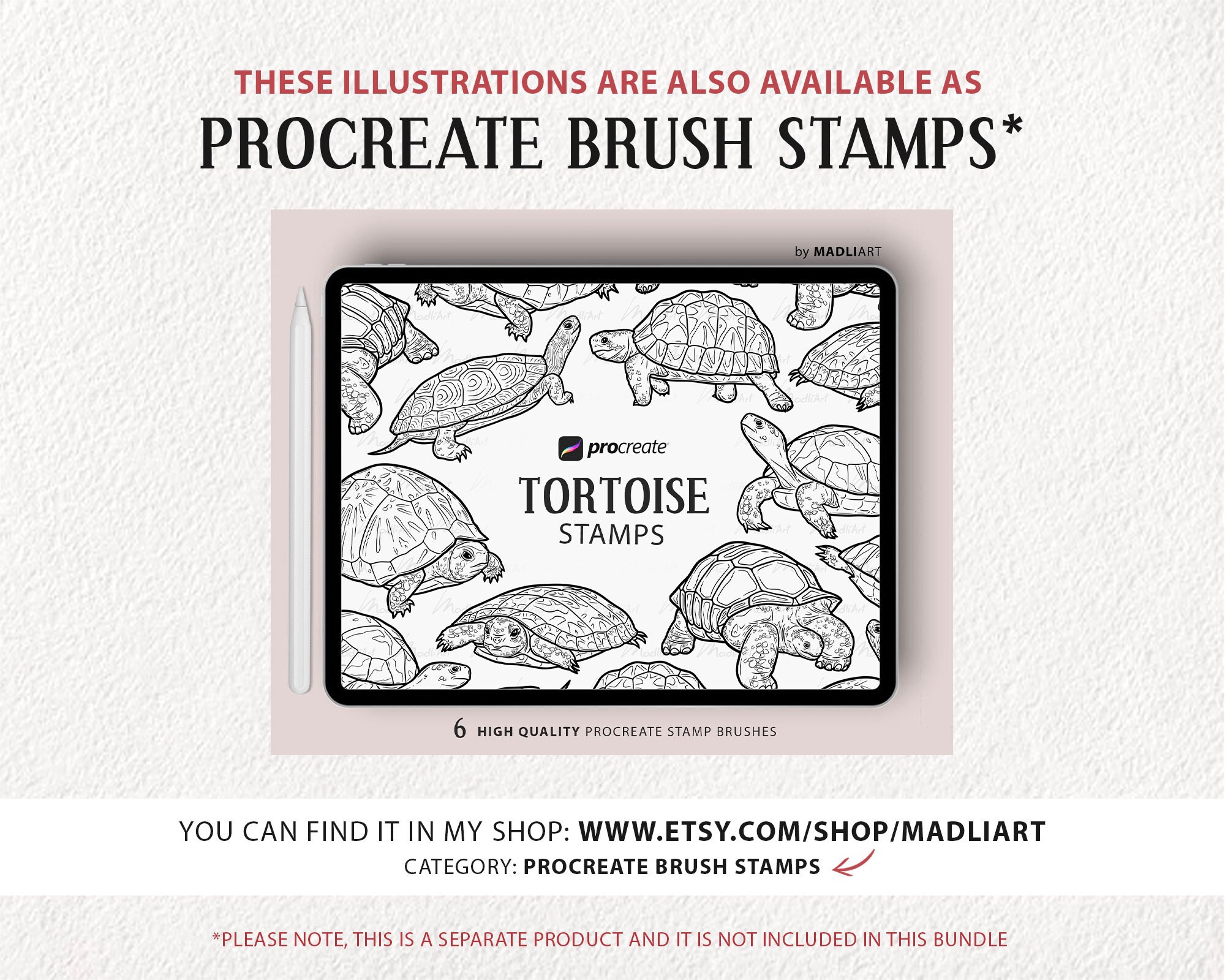 6 Tortoise SVG Clipart Bundle. Land Turtle Vector Artwork Set. - Etsy