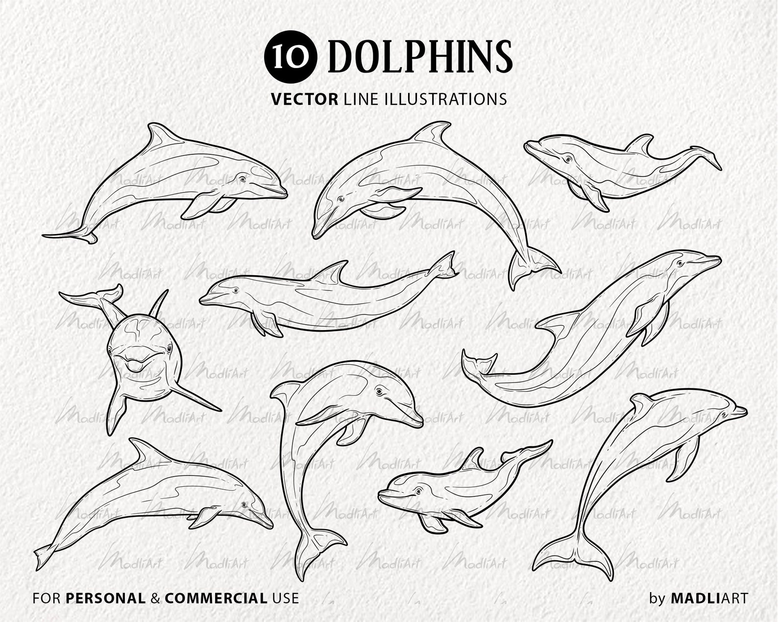 10 Dolphins Vector Clipart Bundle. Ocean Animal SVG Line Art - Etsy