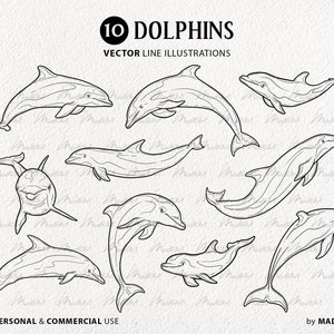10 Dolphins Vector Clipart Bundle. Ocean Animal SVG Line Art Set ...