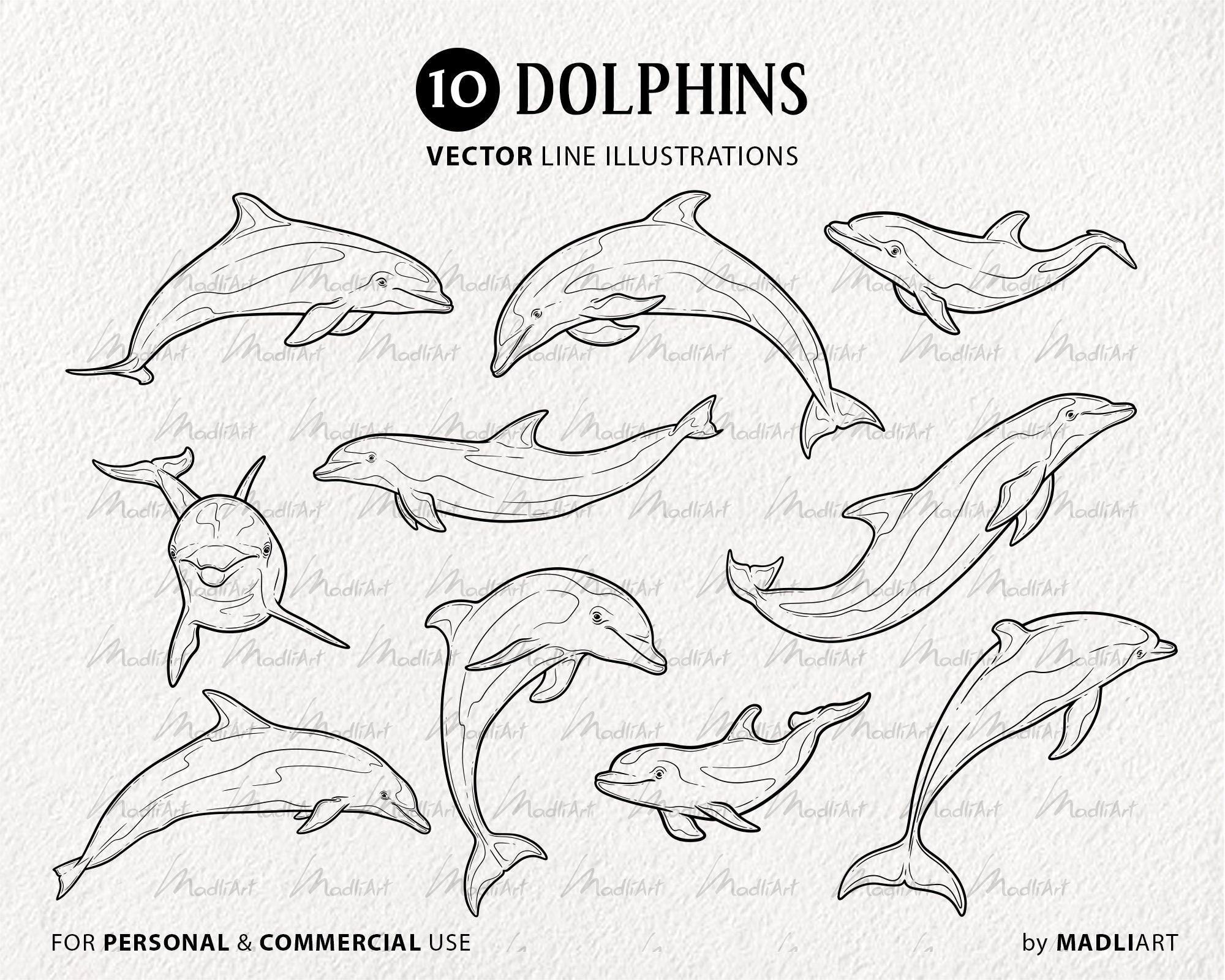 10 Dolphins Vector Clipart Bundle. Ocean Animal SVG Line Art Set ...