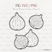 Fig SVG Clipart. 3 Fig Vector Line Drawings. Tropical Fruit Outline ...