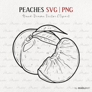 Peach SVG Clipart. Vector Peach Drawing. Peach Fruit, Leaves Line ...