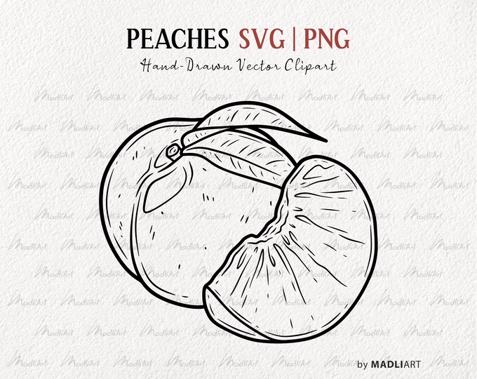 Peach Vector Clipart / Outline & Stamp Drawing Graphic / Fruit and Food ...