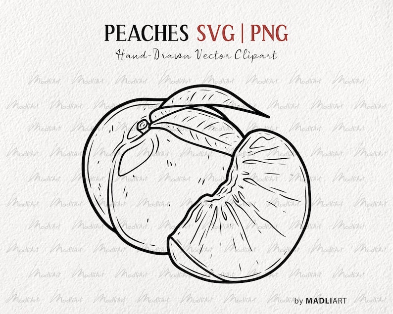 Peach SVG Clipart. Vector Peach Drawing. Peach Fruit, Leaves Line ...