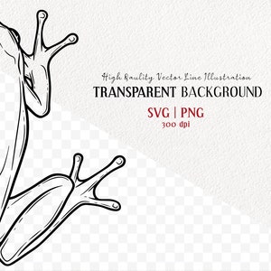 Tree Frog SVG Clipart. Frog Vector Drawing. Green, White and Red-eyed ...