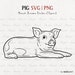 Pig SVG Clipart. Farm Animal Vector Line Art. Cute Piglet Drawing. Pig ...