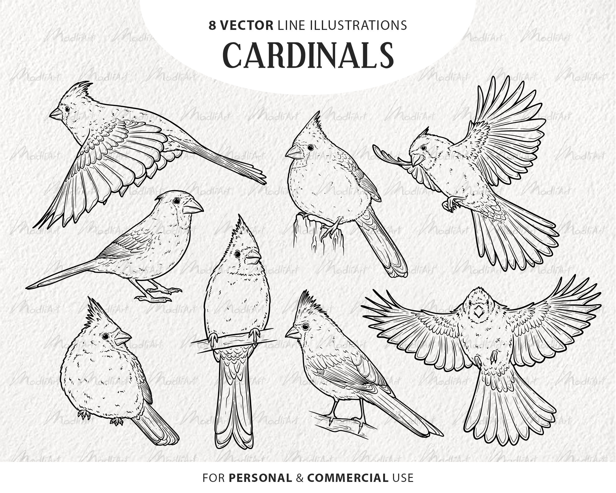 Cardinal Vector Clipart Bundle. Little Red Birds. Flying Birds - Etsy