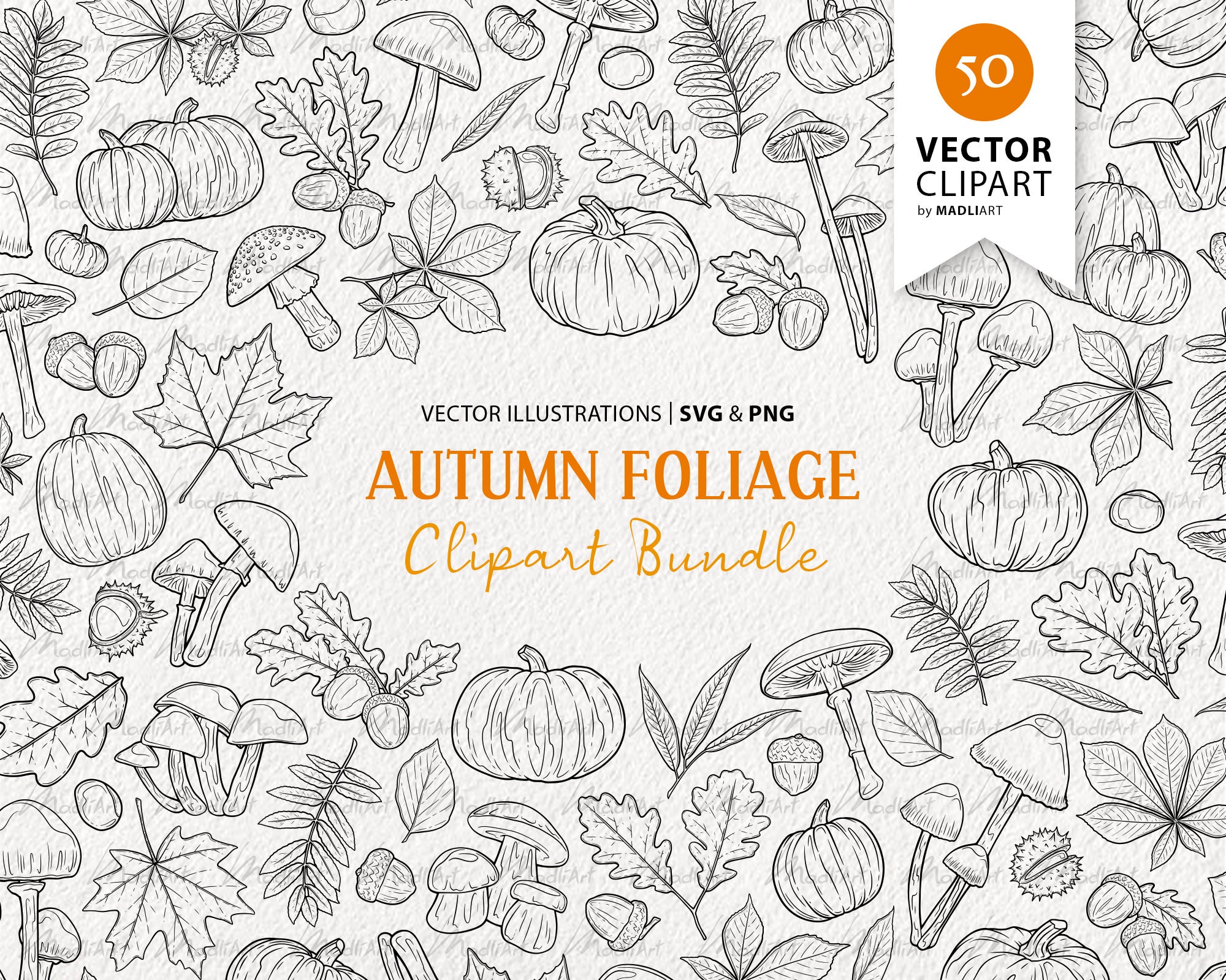 Autumn Foliage SVG Clipart Bundle. 50 Vector Fall Plants. Mushrooms ...