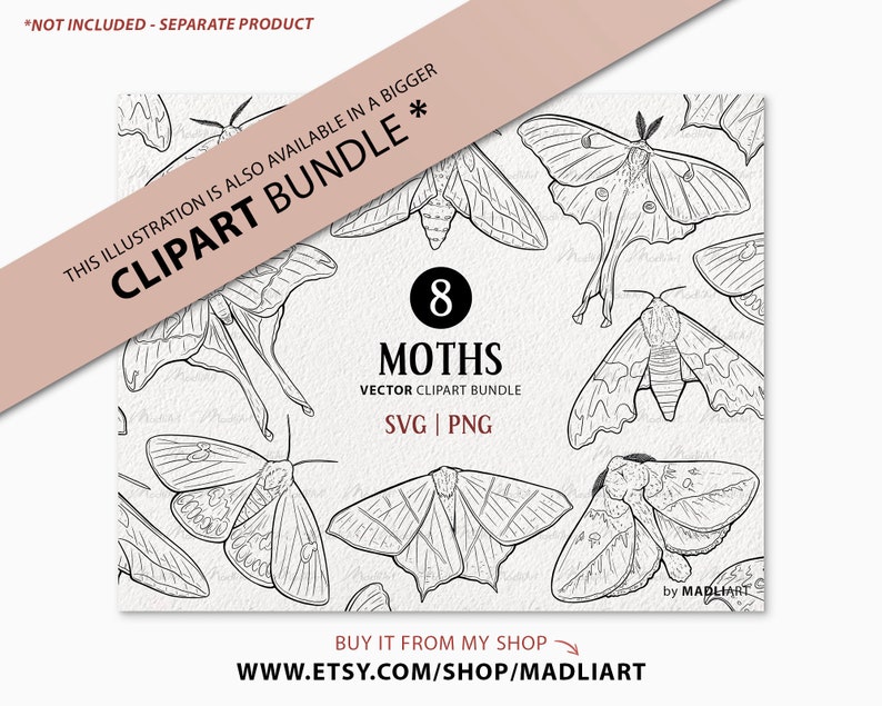 Pebble Hook-tip Moth SVG Clip Art. Hand-drawn Butterfly Vector Outline ...