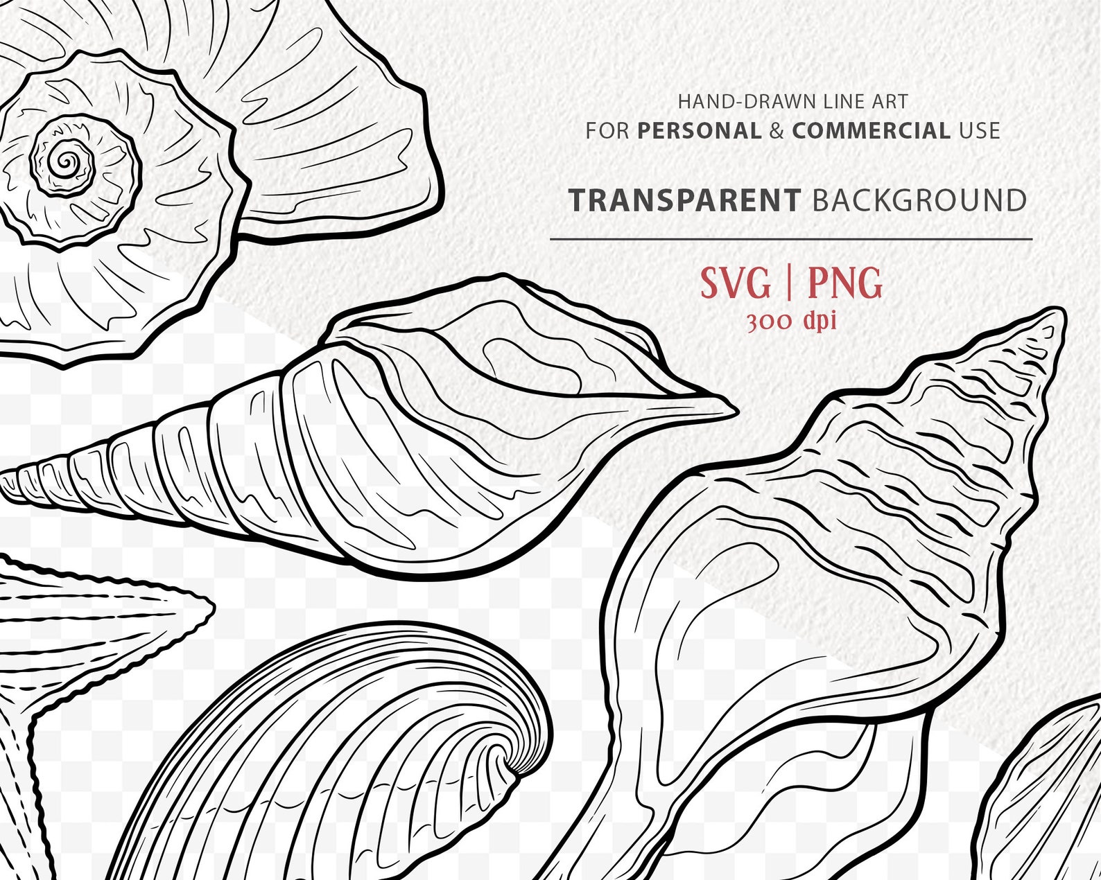 Seashell SVG Clipart Bundle. 10 Ocean Themed Vector Line - Etsy