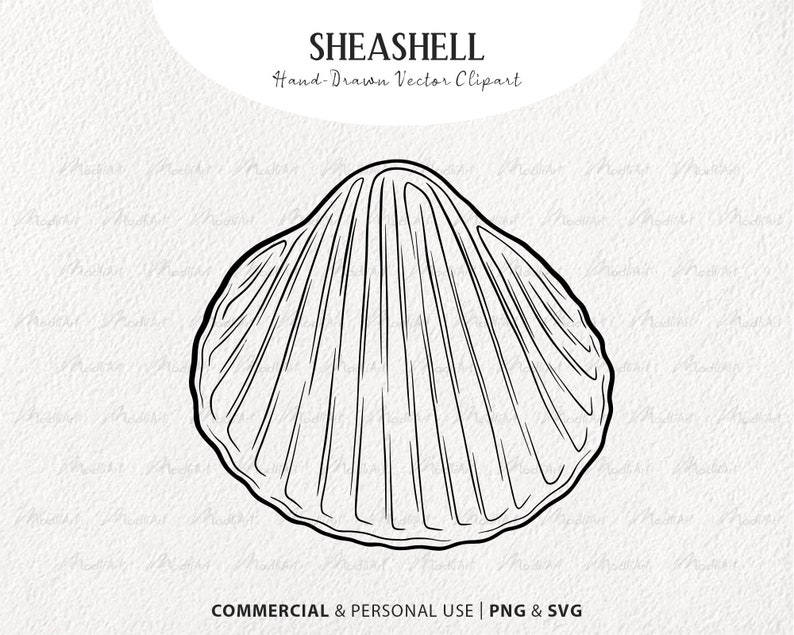 Seashell SVG Clipart. Ocean Themed Vector Line (Instant Download) - Etsy